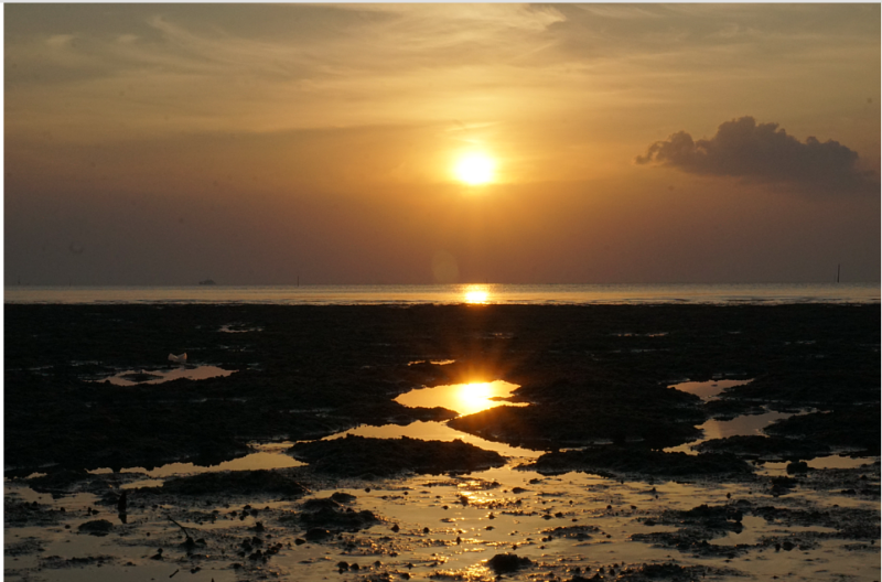 Pesona Sunset Pantai Tanjung Pendam